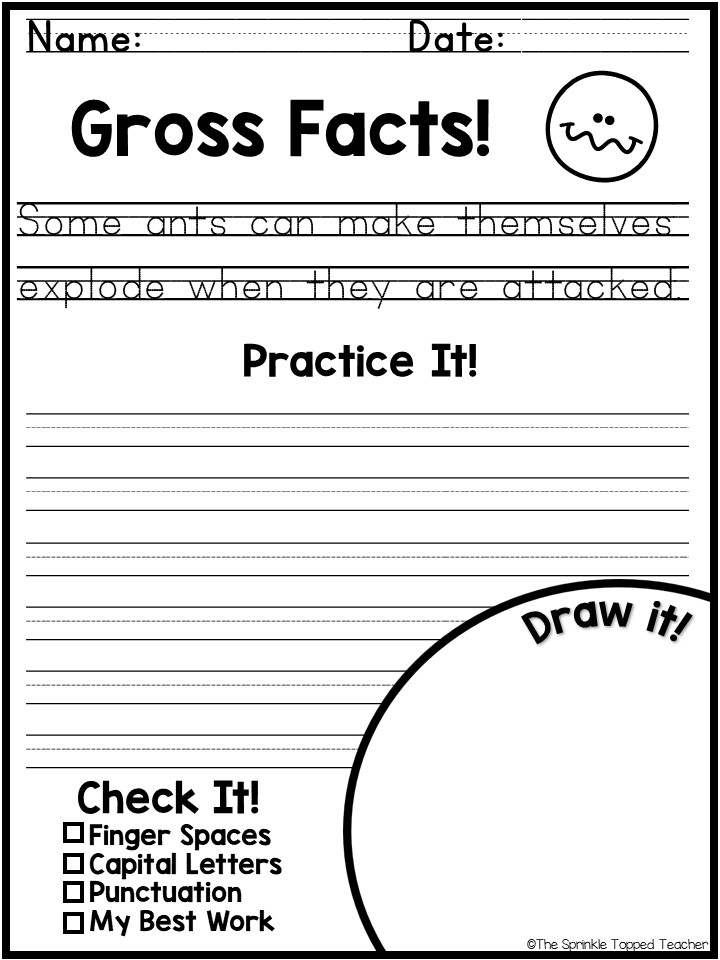 Fun Handwriting Worksheets for Older Kids