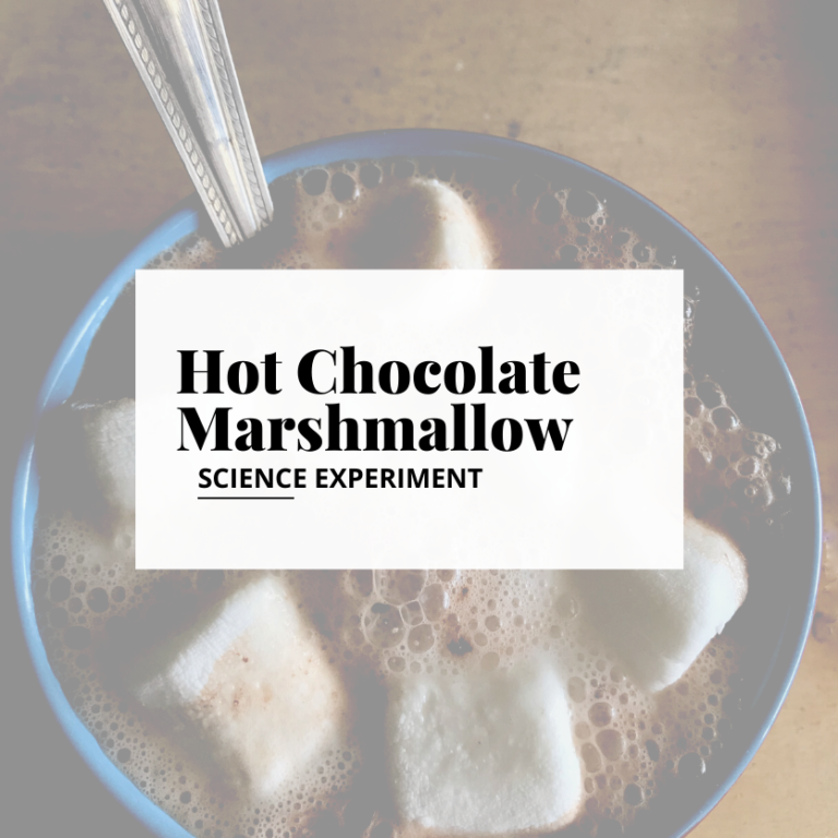 Hot Chocolate Marshmallow Science Experiment