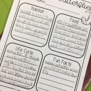 Butterfly Life Cycle Activity - Butterfly Room Transformation