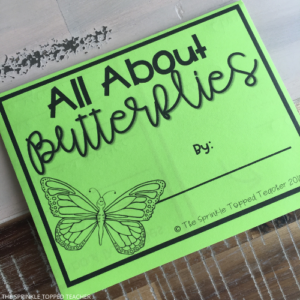 Butterfly Life Cycle Activity - Butterfly Room Transformation