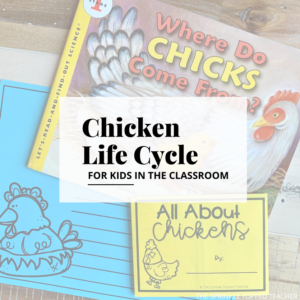 Chicken Life Cycle Printable Research Project