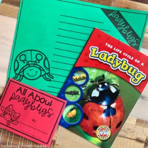 Ladybug Life Cycle Printable Research Project