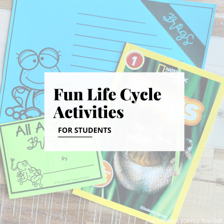 Fun Life Cycle Activities